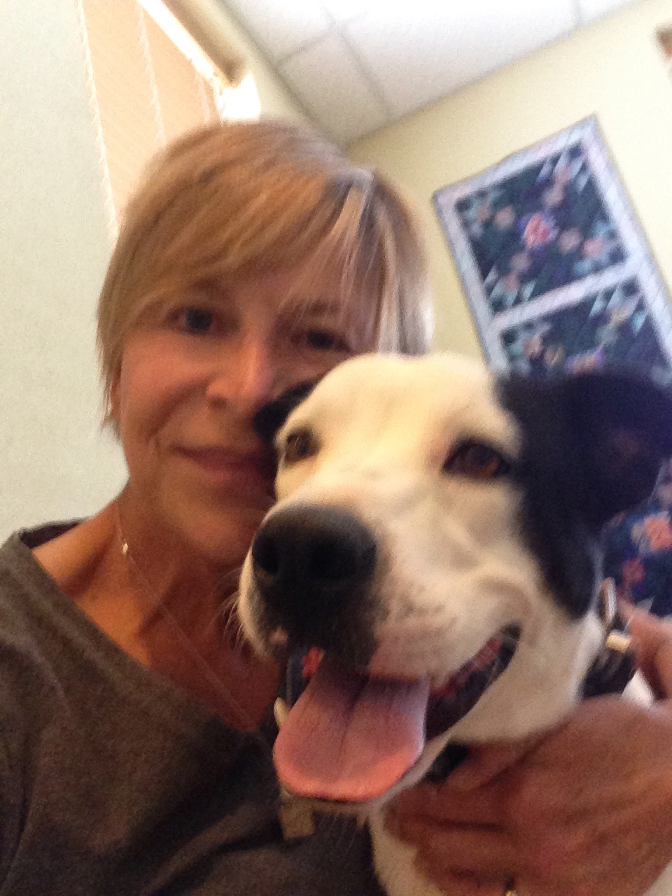 Anna Cook - The Grief Recovery Method