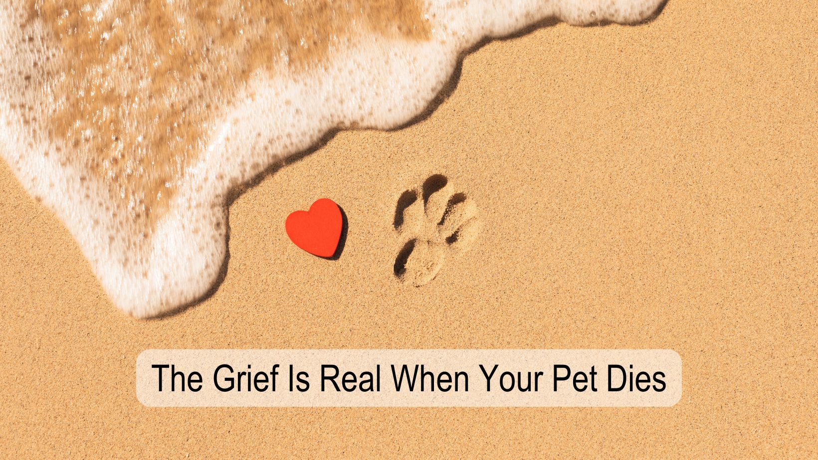 When Your Pet Dies, the Grief Is Real - The Grief Recovery Method